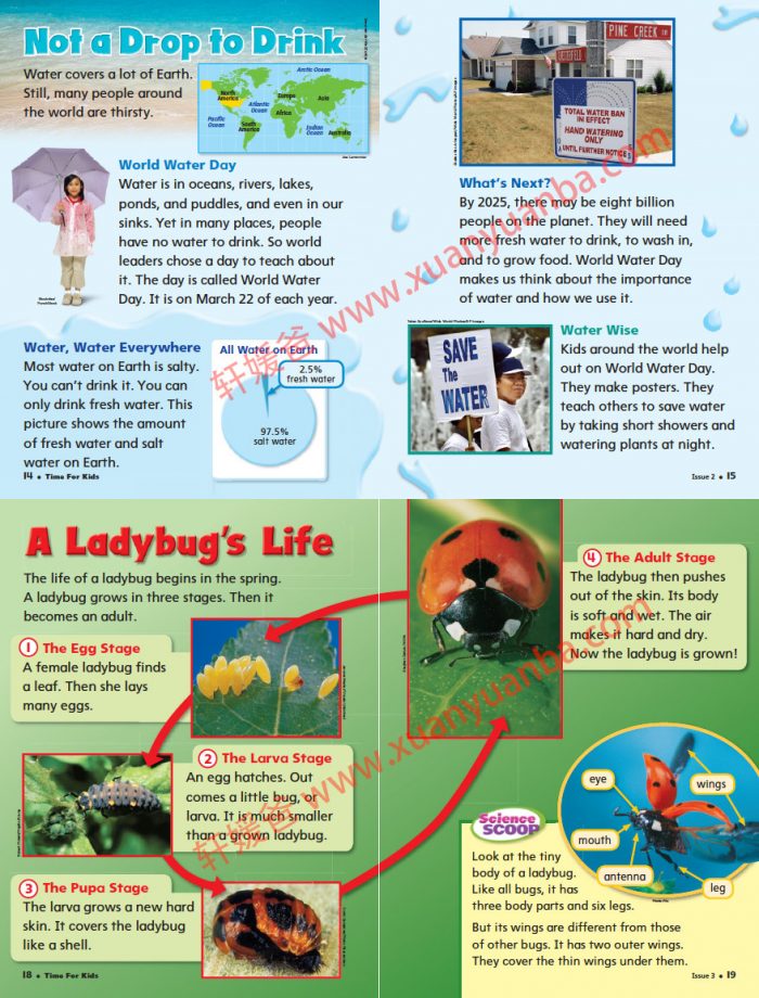 《Time for Kids（G1-G5）》 加州语文分级教材TREASURE配套书共12册 PDF百度云网盘下载 – 轩媛爸